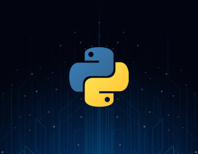 Python: The Swiss Army Knife of Code - Business Home & Personal Solution Center